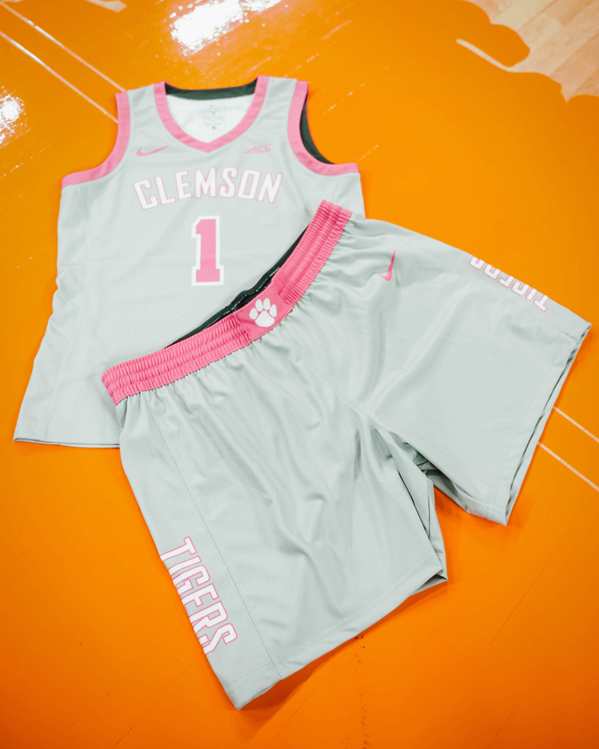 WBB | Clemson Takes on #19 Georgia Tech in Hoopin’ For Hope Game ...