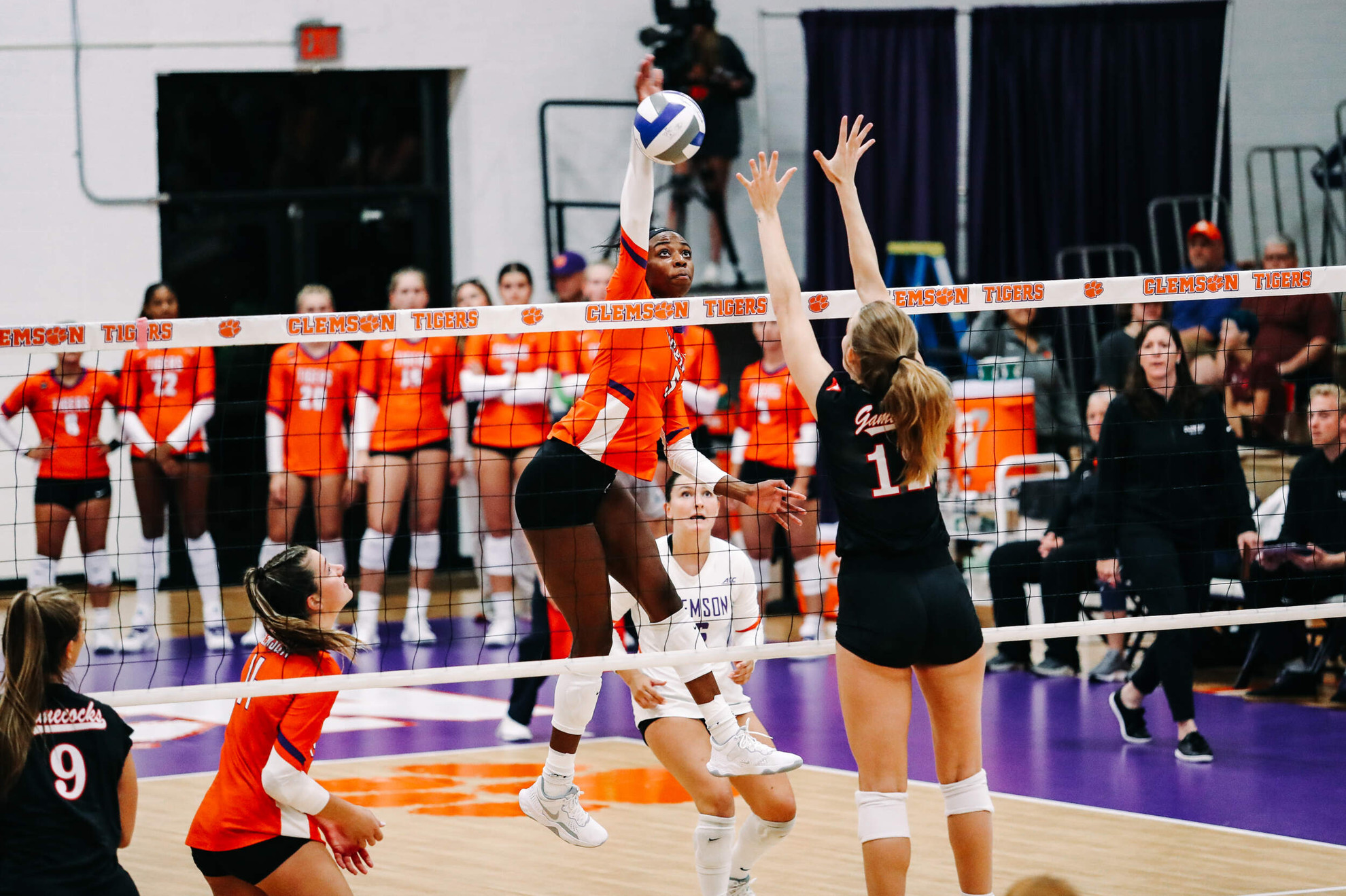 Tigers Fall to JSU in Jervey Gym - Clemson University Athletics