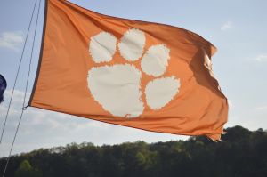 Clemson Tigers | Clemson University Athletics | Rowing